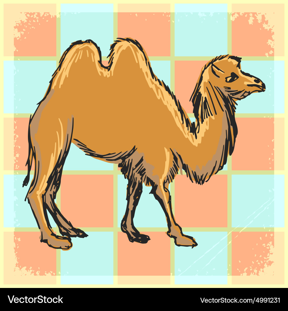 Camel Royalty Free Vector Image - VectorStock