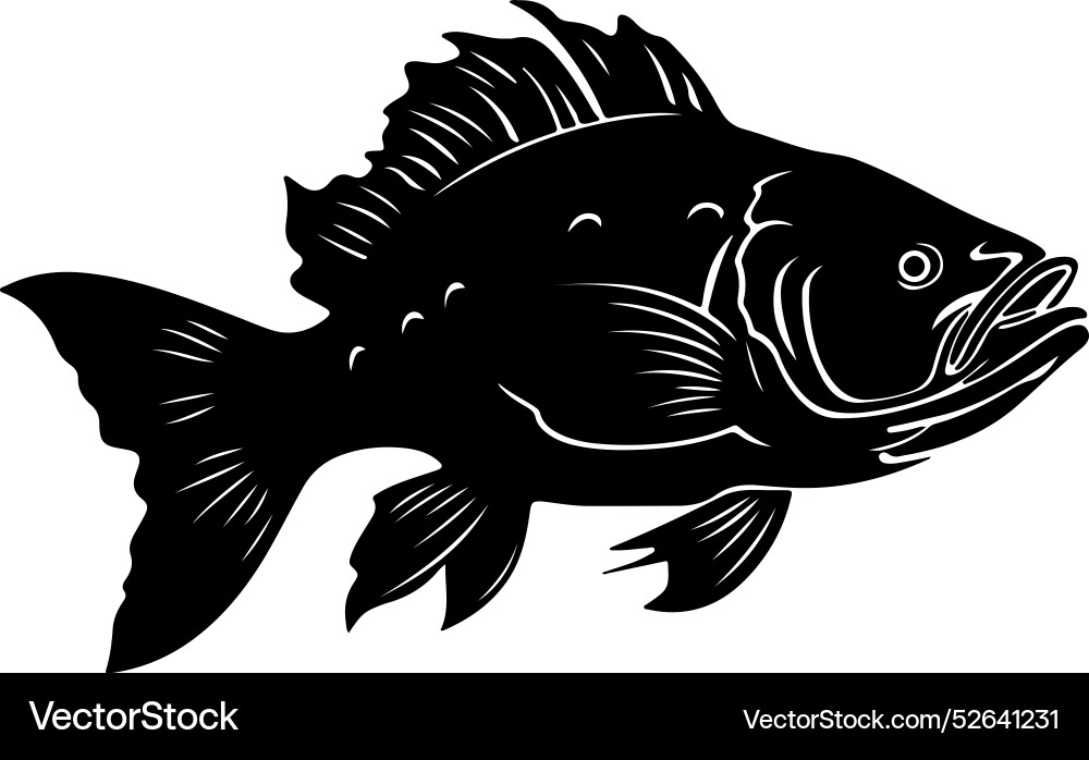 Coelacanth fish silhouette white background Vector Image