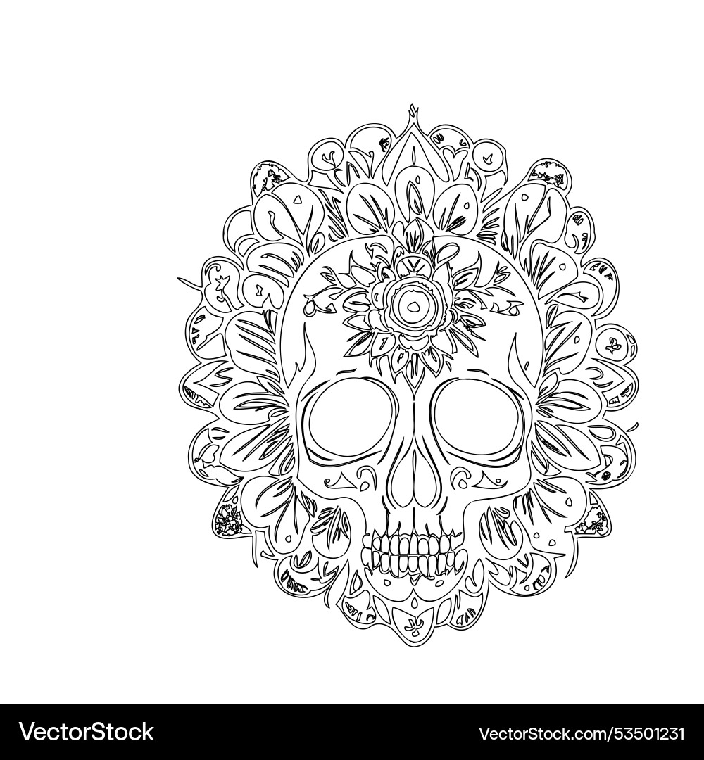 Skull mandala outline sketch Royalty Free Vector Image