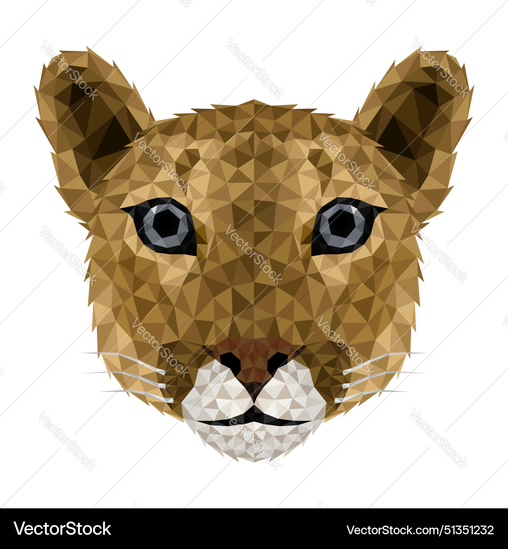 Puma cougar low poly face Royalty Free Vector Image