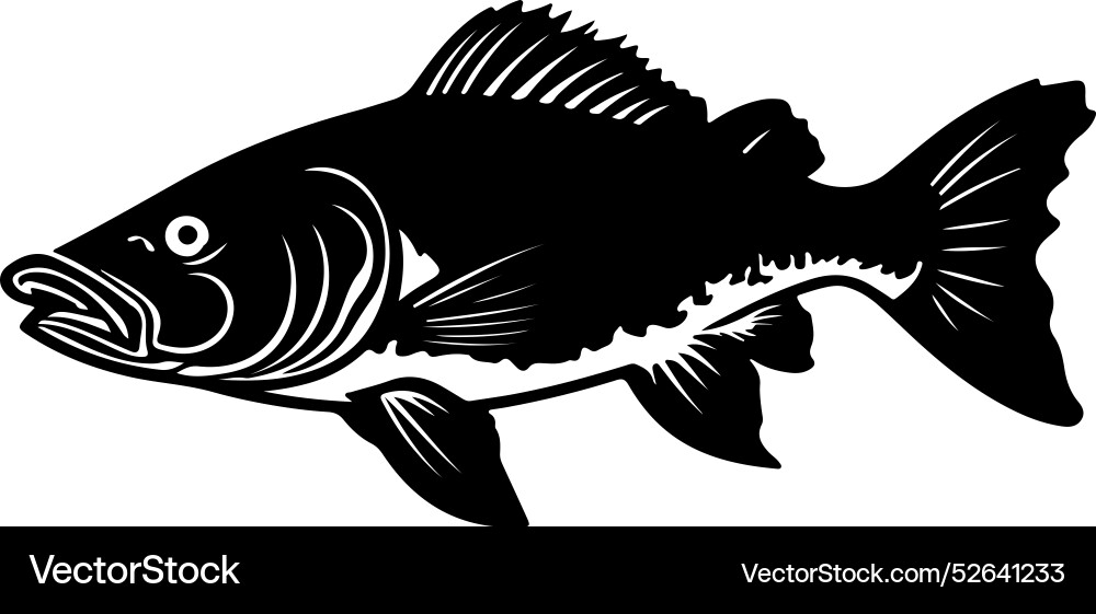 Coelacanth fish silhouette white background Vector Image