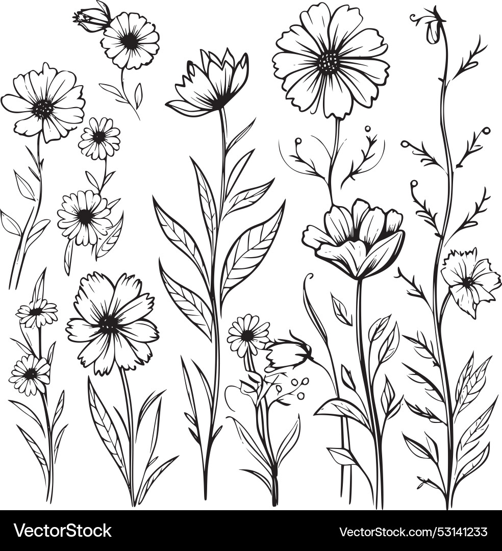 Flower Royalty Free Vector Image - VectorStock