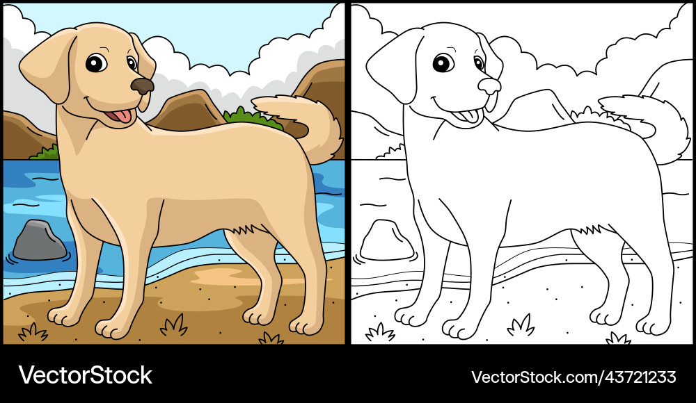 Labrador retriever dog coloring page Royalty Free Vector