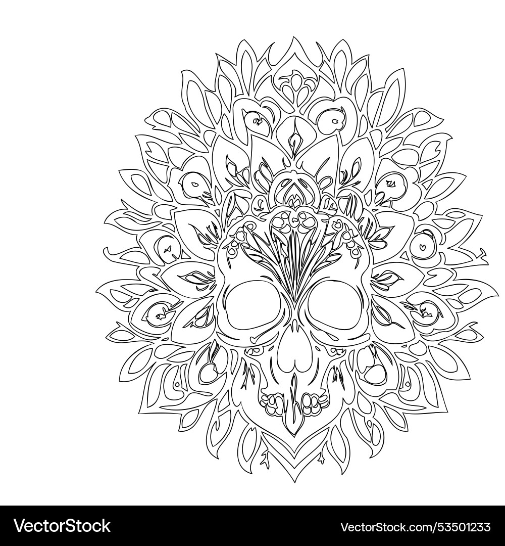 Skull mandala outline sketch Royalty Free Vector Image