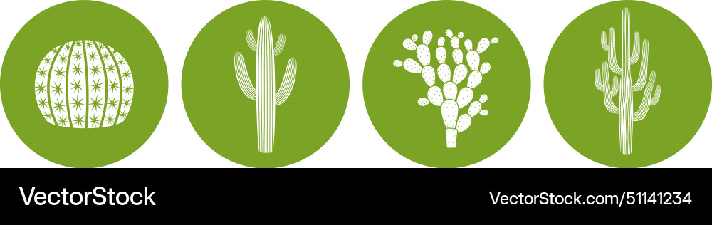 Cactus Royalty Free Vector Image - VectorStock