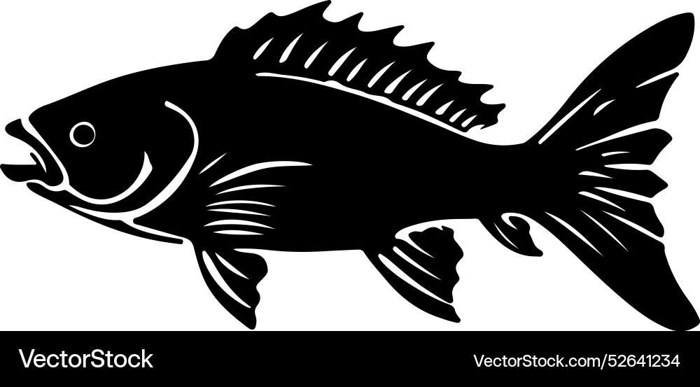 Coelacanth fish silhouette white background Vector Image