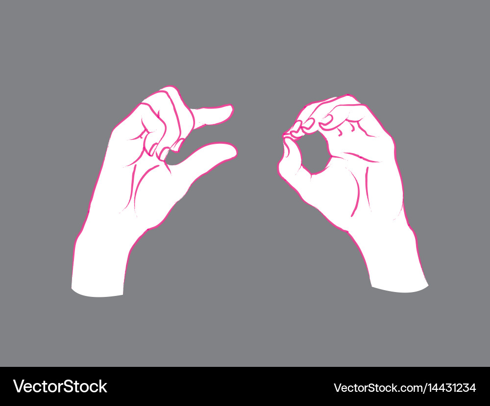 Gesture a little bit sign two female hands Vector Image