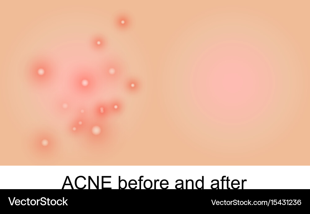 Akkord Lizenzfreies Vektorbild - VectorStock