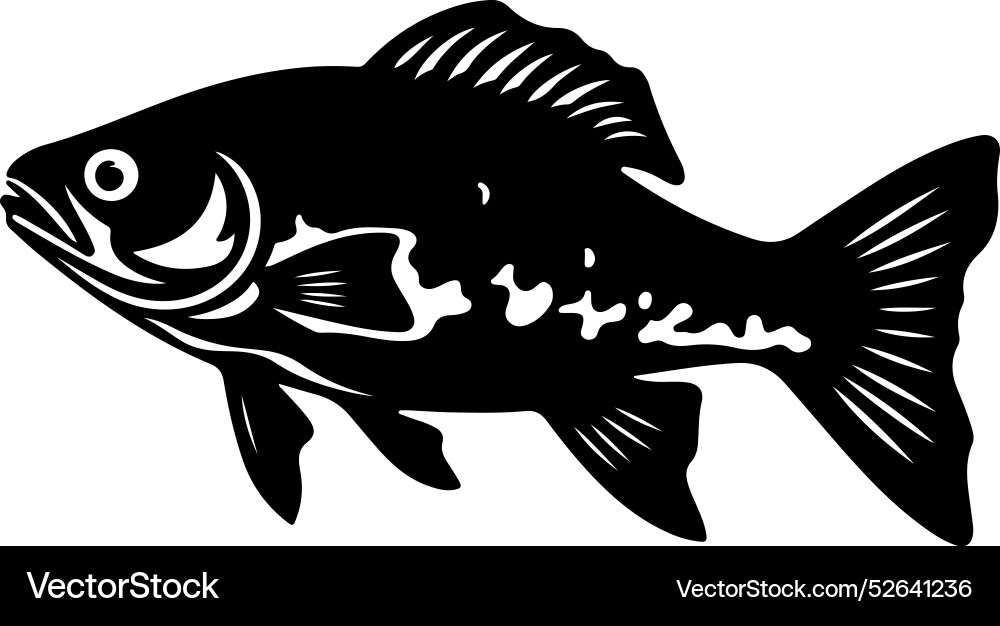 Coelacanth fish silhouette white background Vector Image