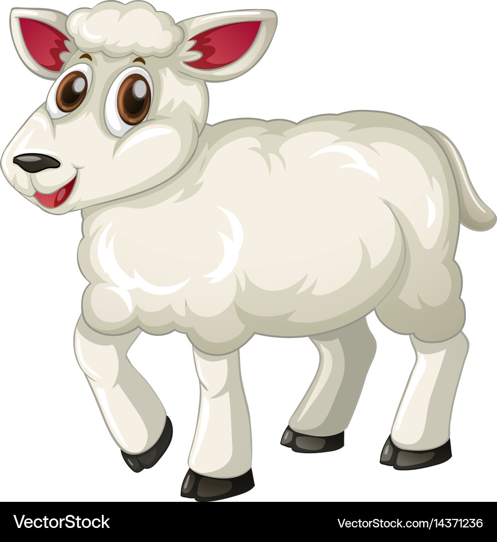 White lamb on background Royalty Free Vector Image