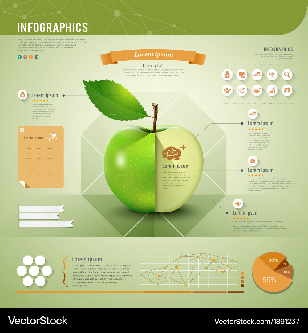 Apple infographics template design Royalty Free Vector Image