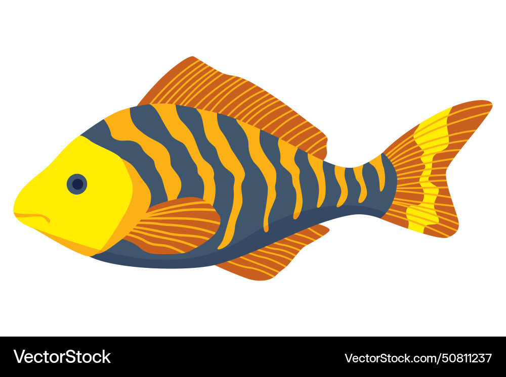 Aquarium fish beautiful underwater character Vector Image