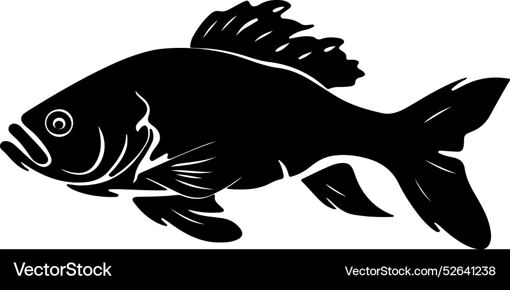 Coelacanth fish silhouette white background Vector Image