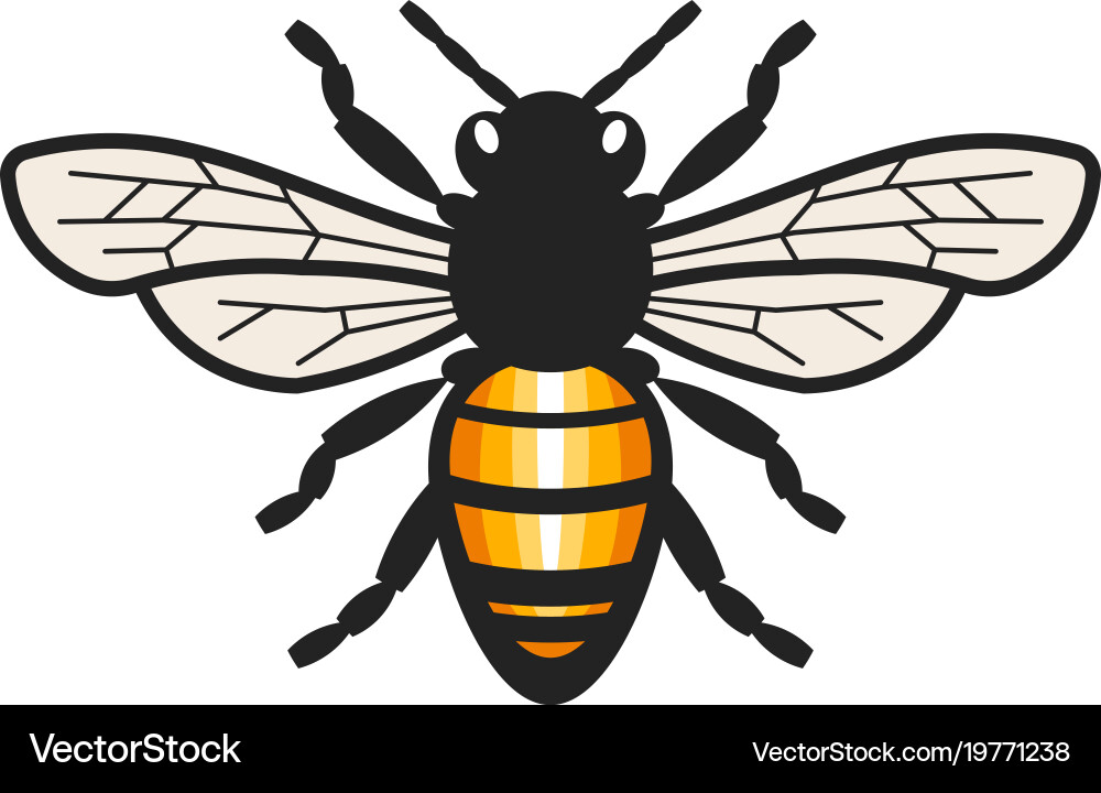 Honey bee Royalty Free Vector Image - VectorStock