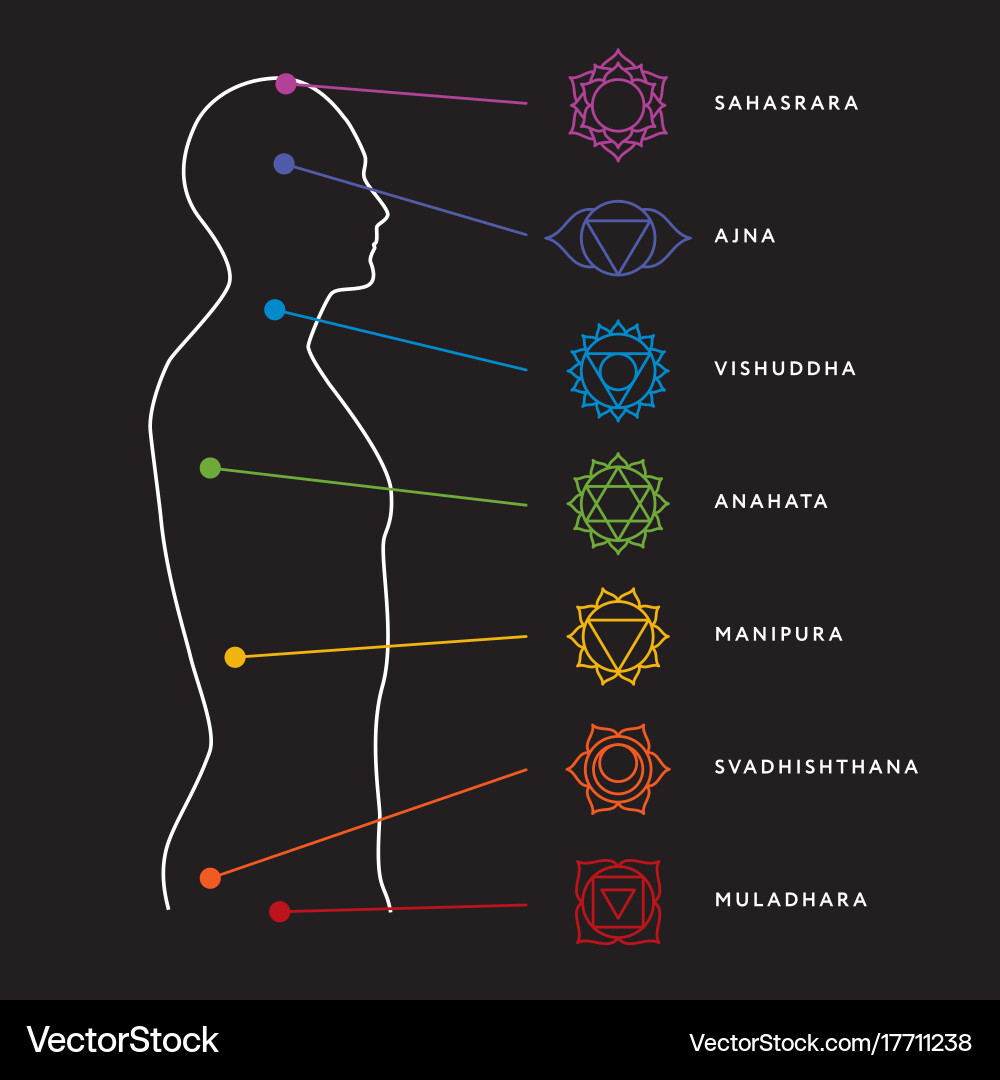 Human Chakra System Diagram Royalty Free Vector Image