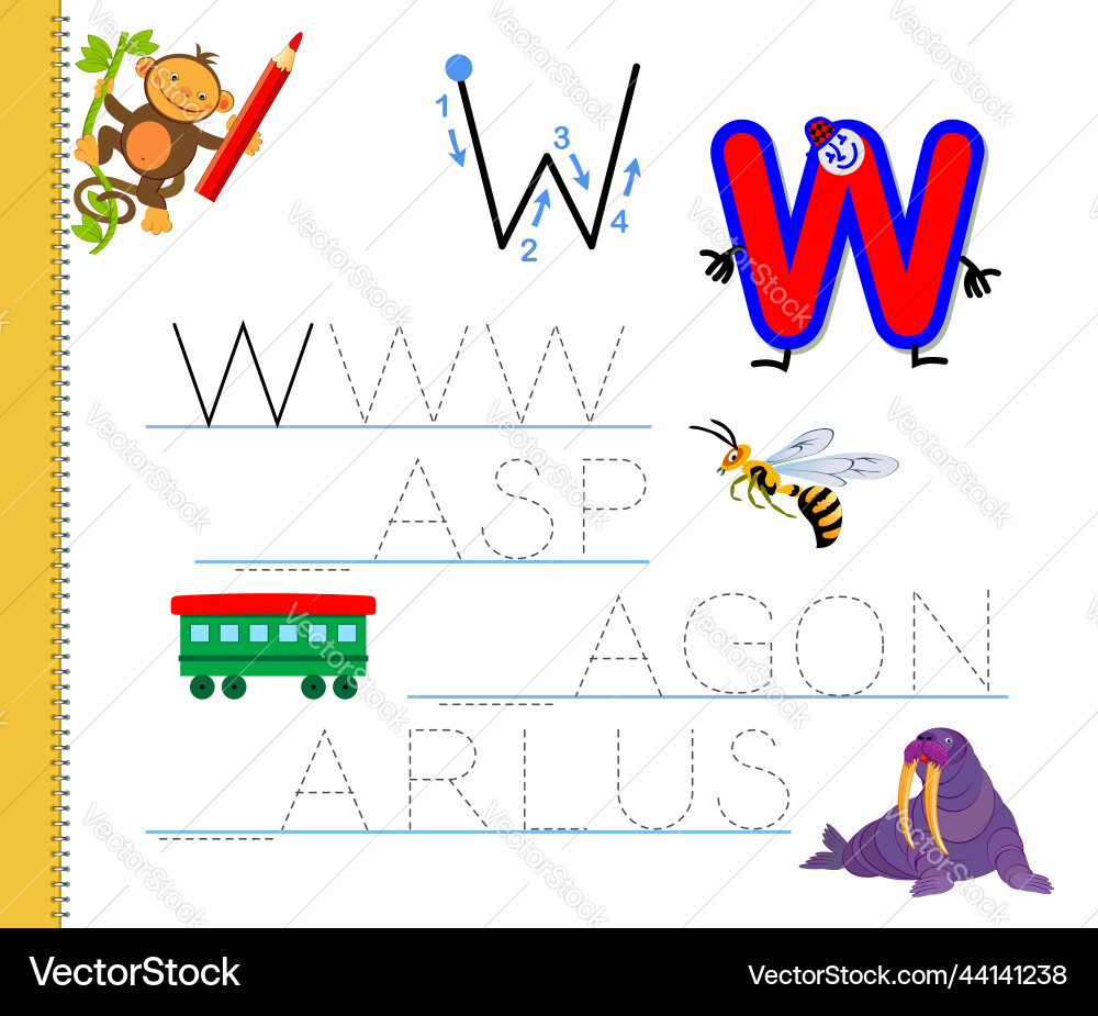 Letter W Trace Worksheet - Kids Education Vector Image