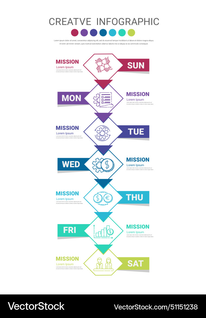 Timeline business for 7 day options infographic Vector Image