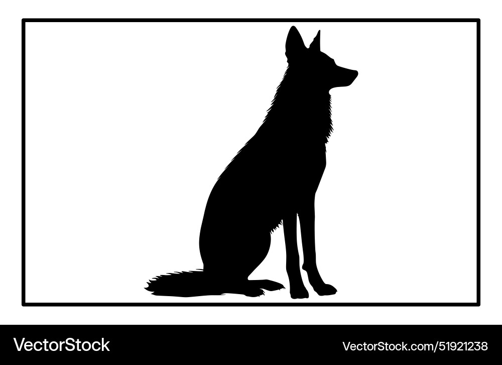 Wild black backed jackal Royalty Free Vector Image