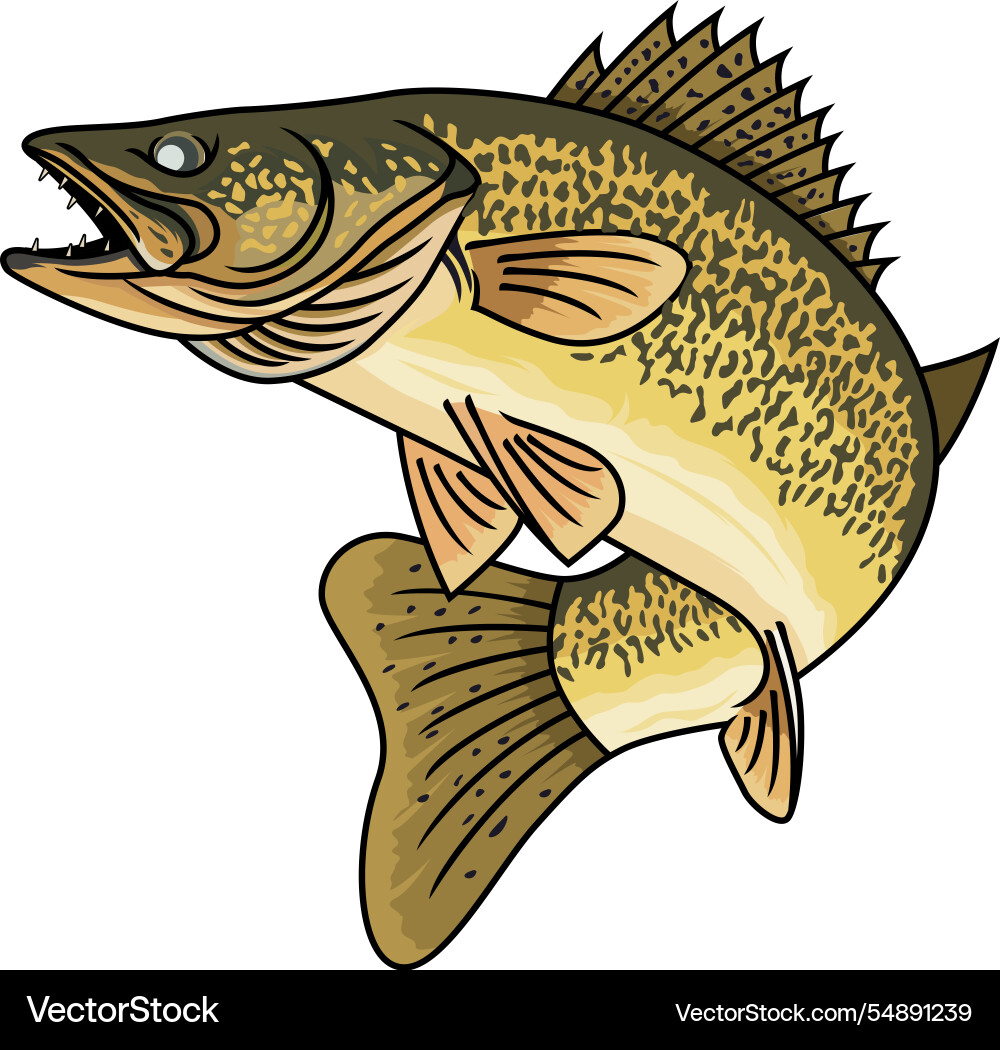Walleye fishing logo image t s Royalty Free Vector Image