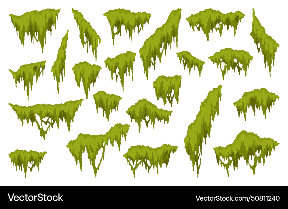 Cartoon jungle moss different shapes green swamp Vector Image