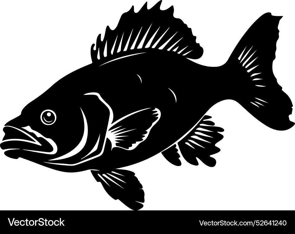 Coelacanth fish silhouette white background Vector Image