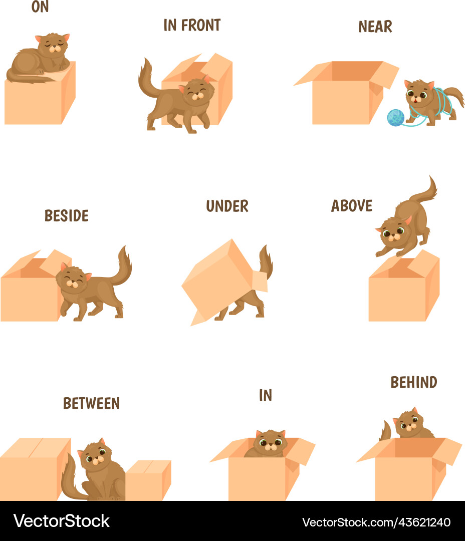 Learning prepositions topologia study language Vector Image