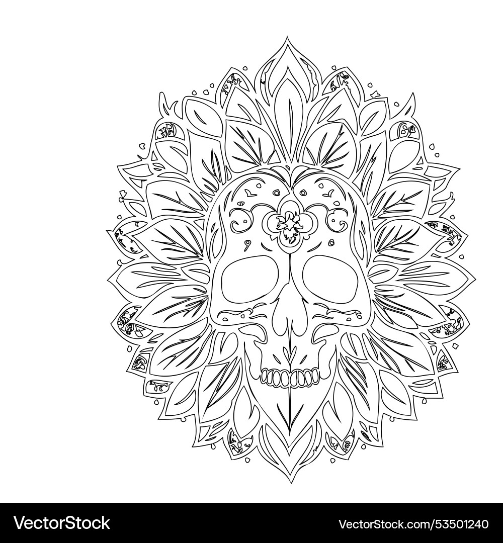 Skull mandala outline sketch Royalty Free Vector Image