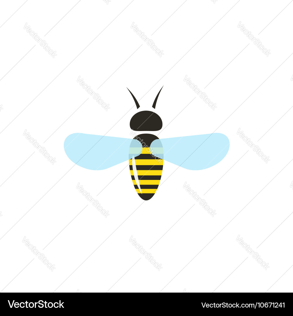 Bee isolated on white background flat Royalty Free Vector