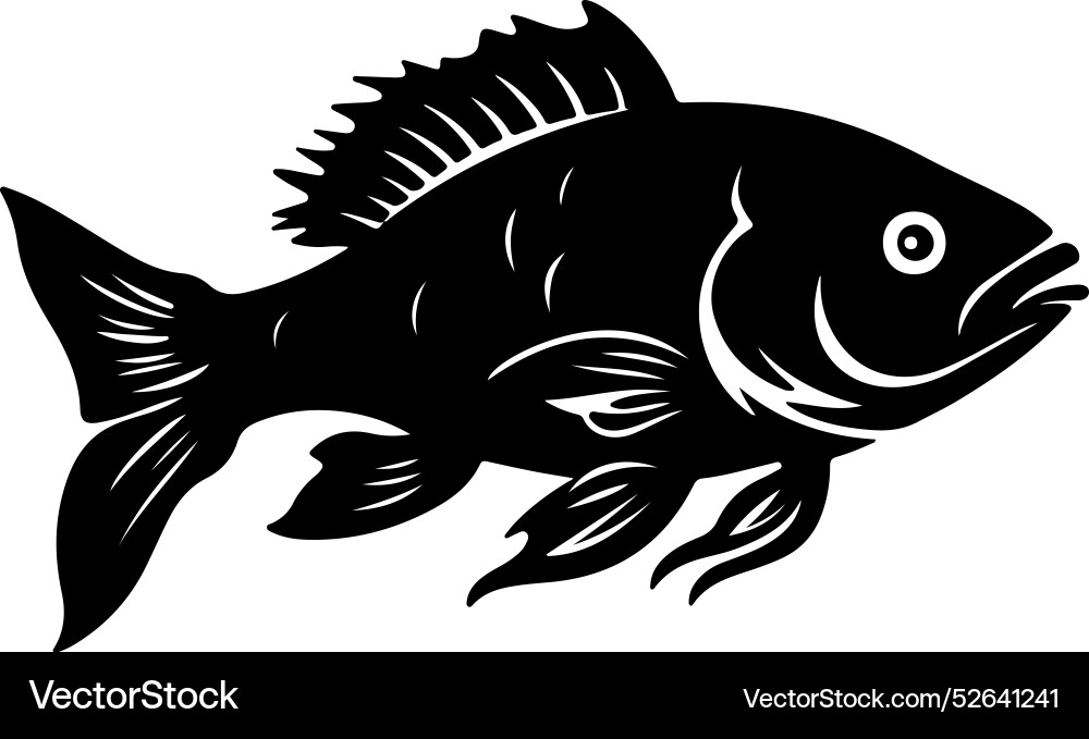 Coelacanth fish silhouette white background Vector Image