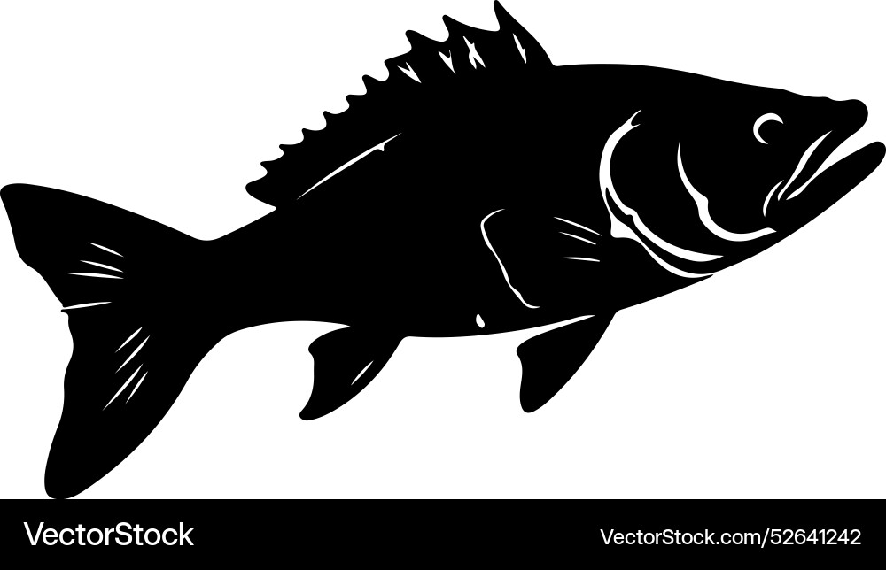Coelacanth fish silhouette white background Vector Image