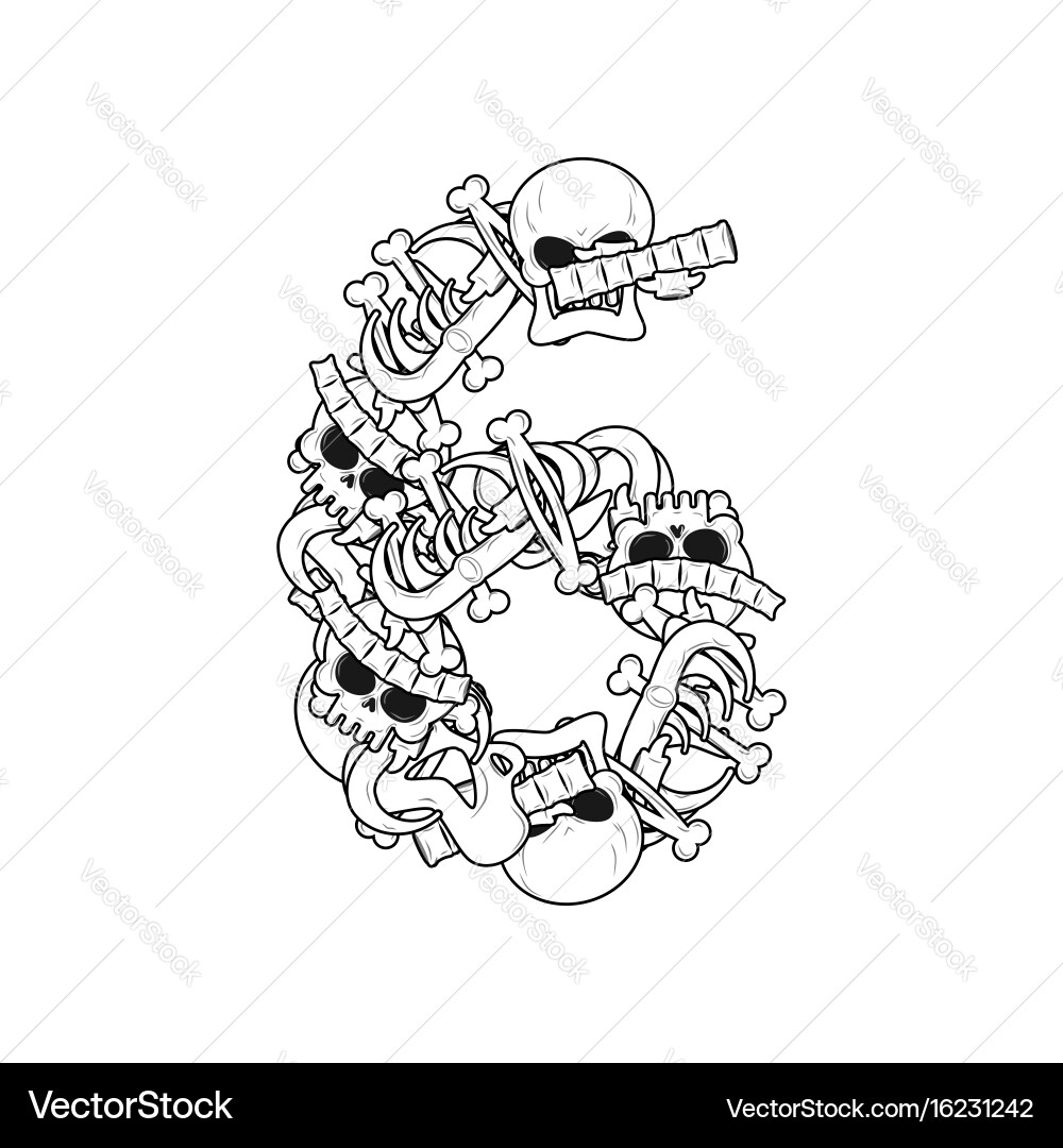 Number 6 skeleton bones font six anatomy Vector Image