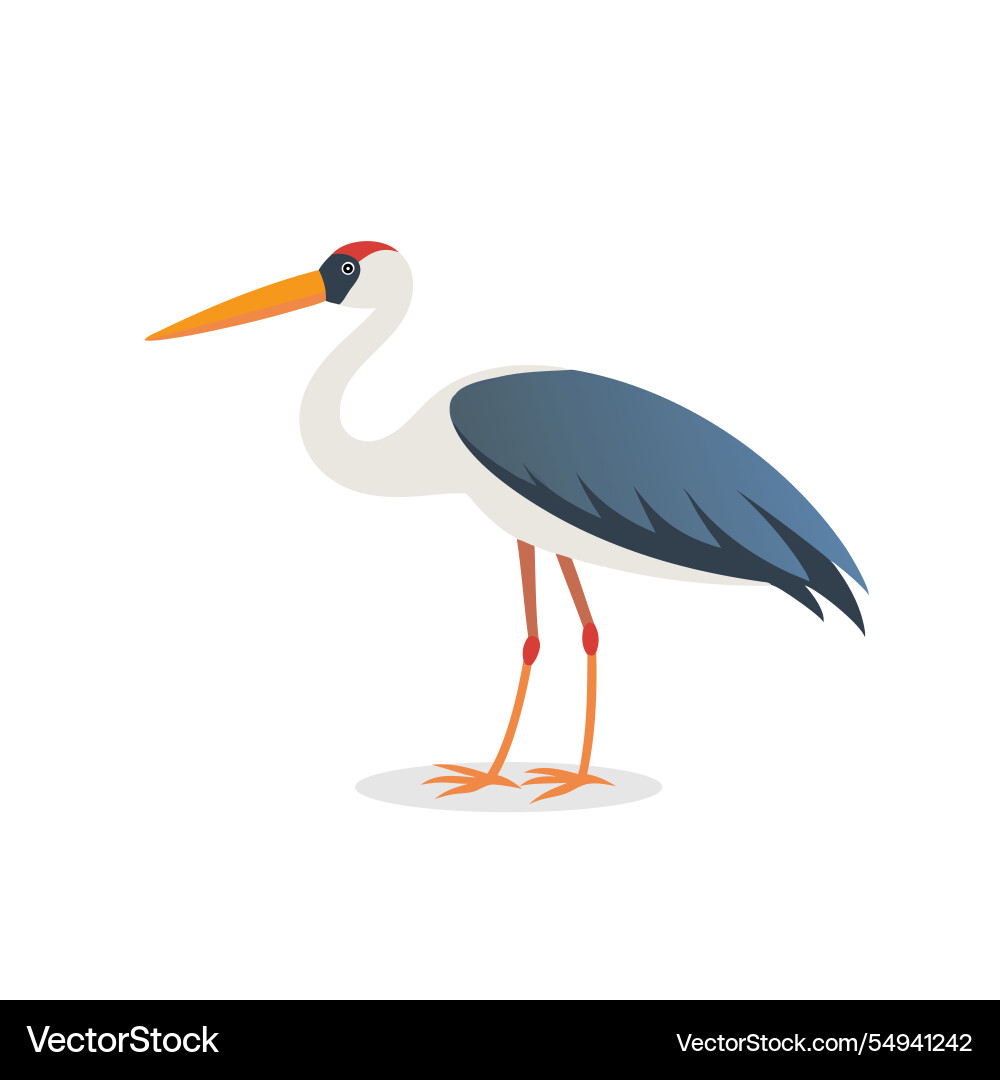Stork animal isolated flat on white background Vector Image