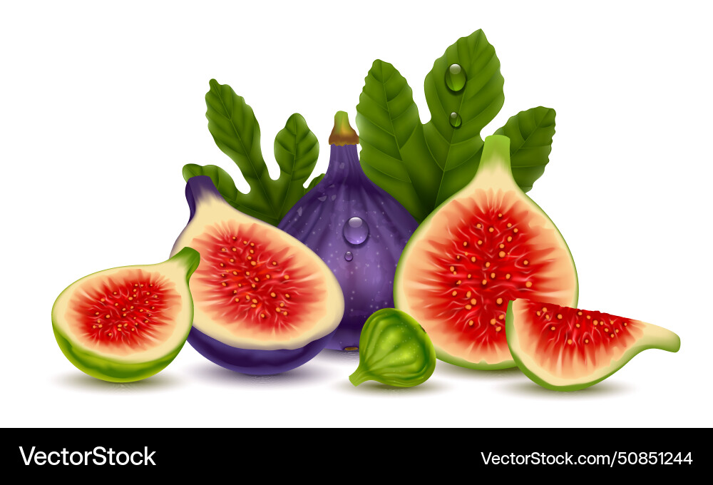 Figs realistic Royalty Free Vector Image - VectorStock