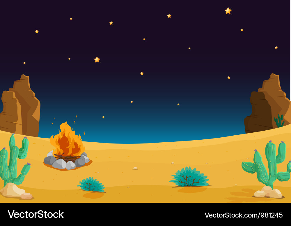 Night time desert Royalty Free Vector Image - VectorStock
