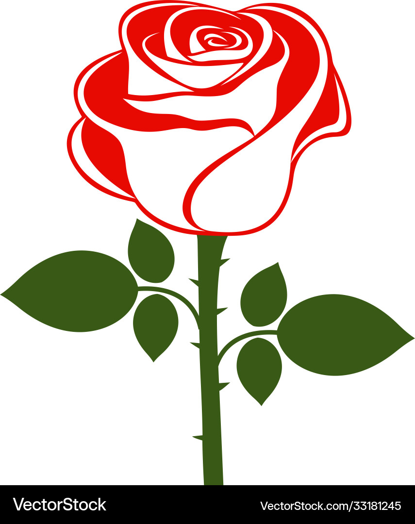 Rose Royalty Free Vector Image - VectorStock