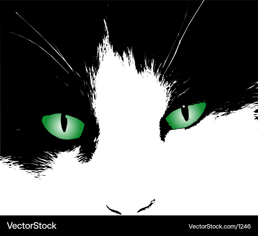 Cat Eye Pattern Royalty Free Vector Image - VectorStock