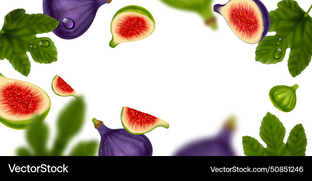 Fig realistic frame Royalty Free Vector Image - VectorStock
