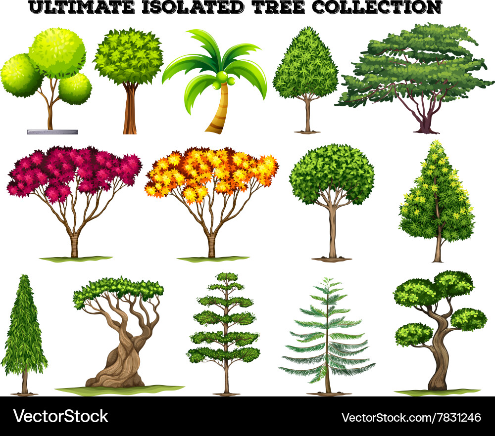 Ultimate isolated tree collection set Royalty Free Vector