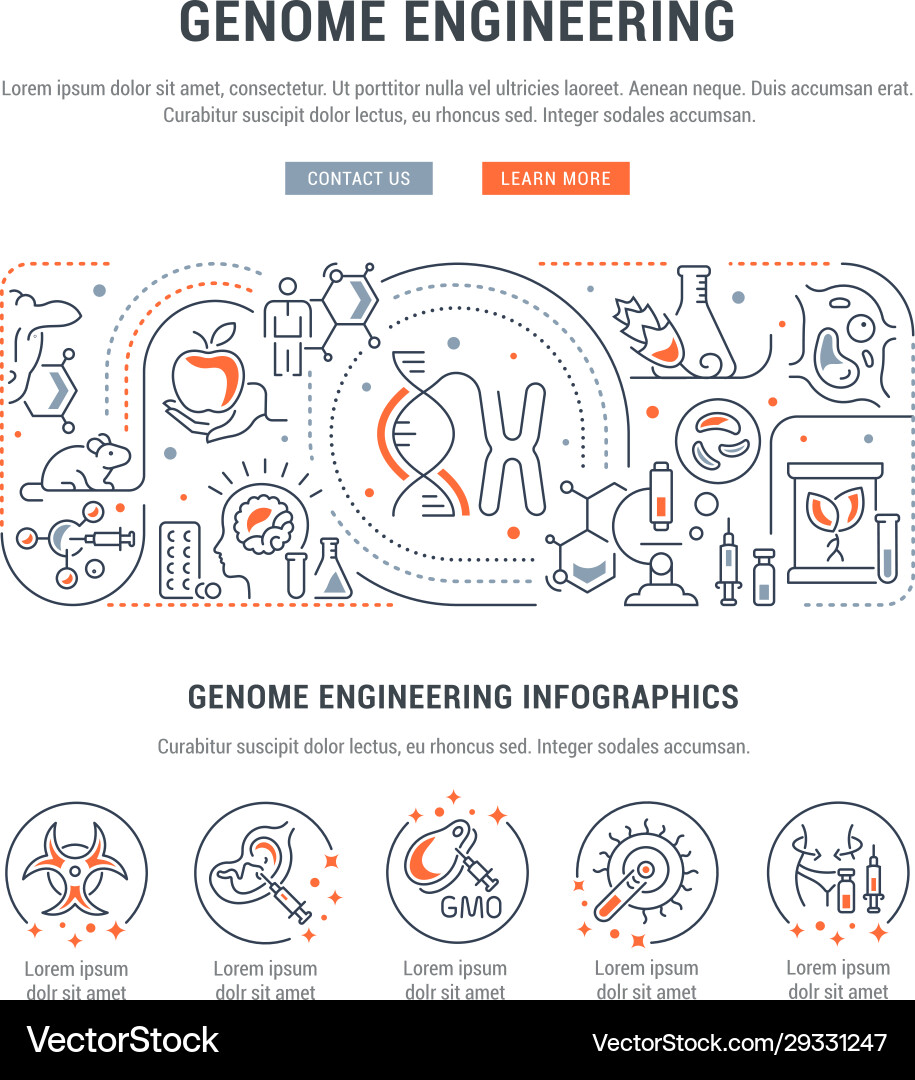 Linear banner genome engineering Royalty Free Vector Image