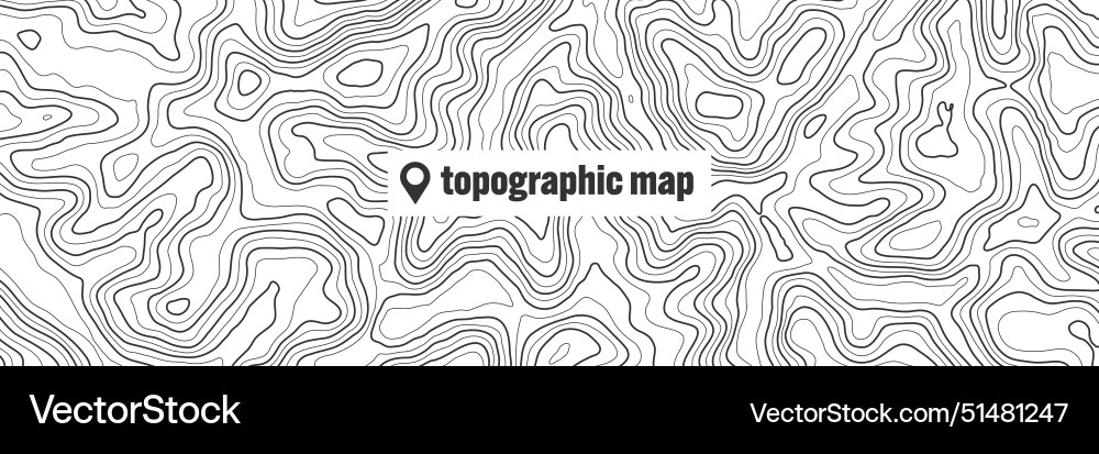 Topographic map with contour lines geographic Vector Image