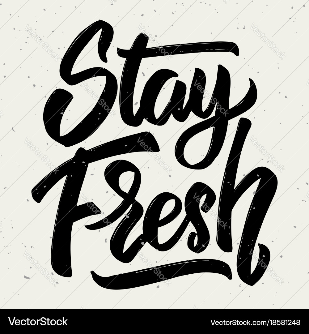 Stay fresh hand drawn lettering isolated on white Vector Image
