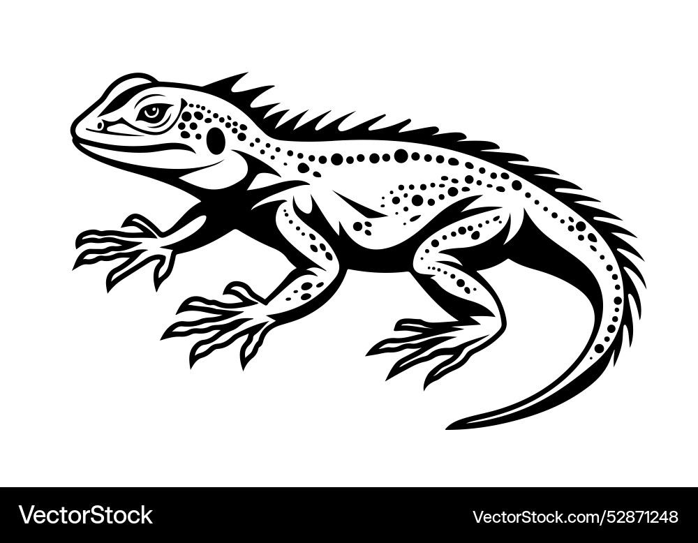 Vintage of lizard Royalty Free Vector Image - VectorStock