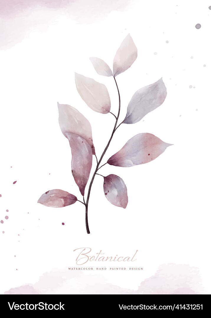 Classic leaf watercolor painting isolated Vector Image