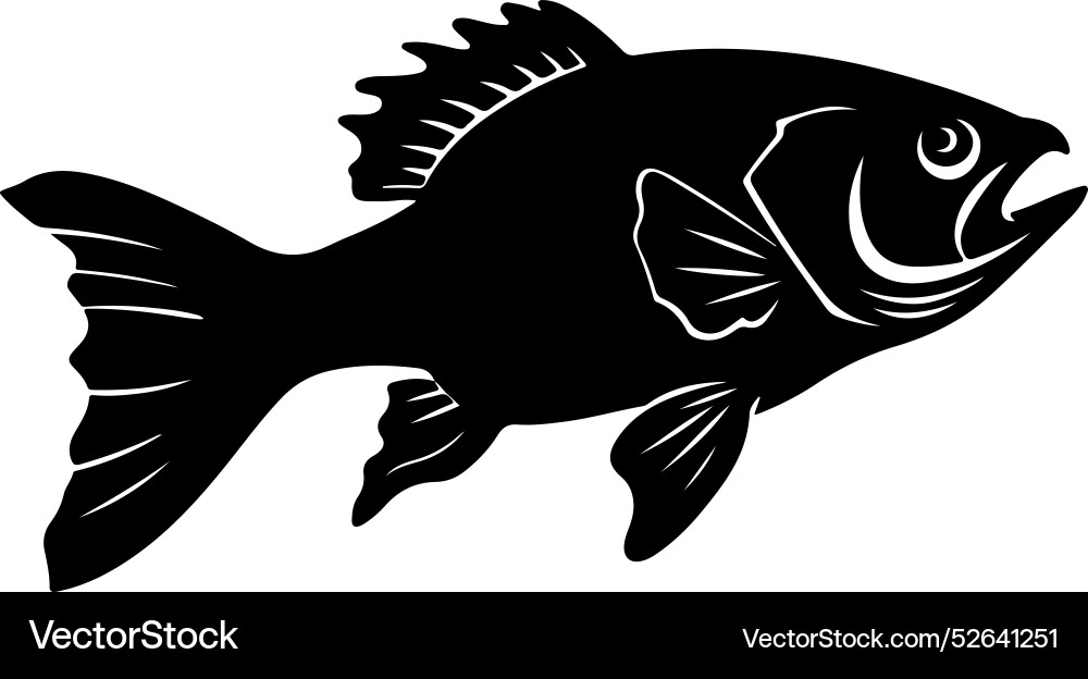 Coelacanth fish silhouette white background Vector Image