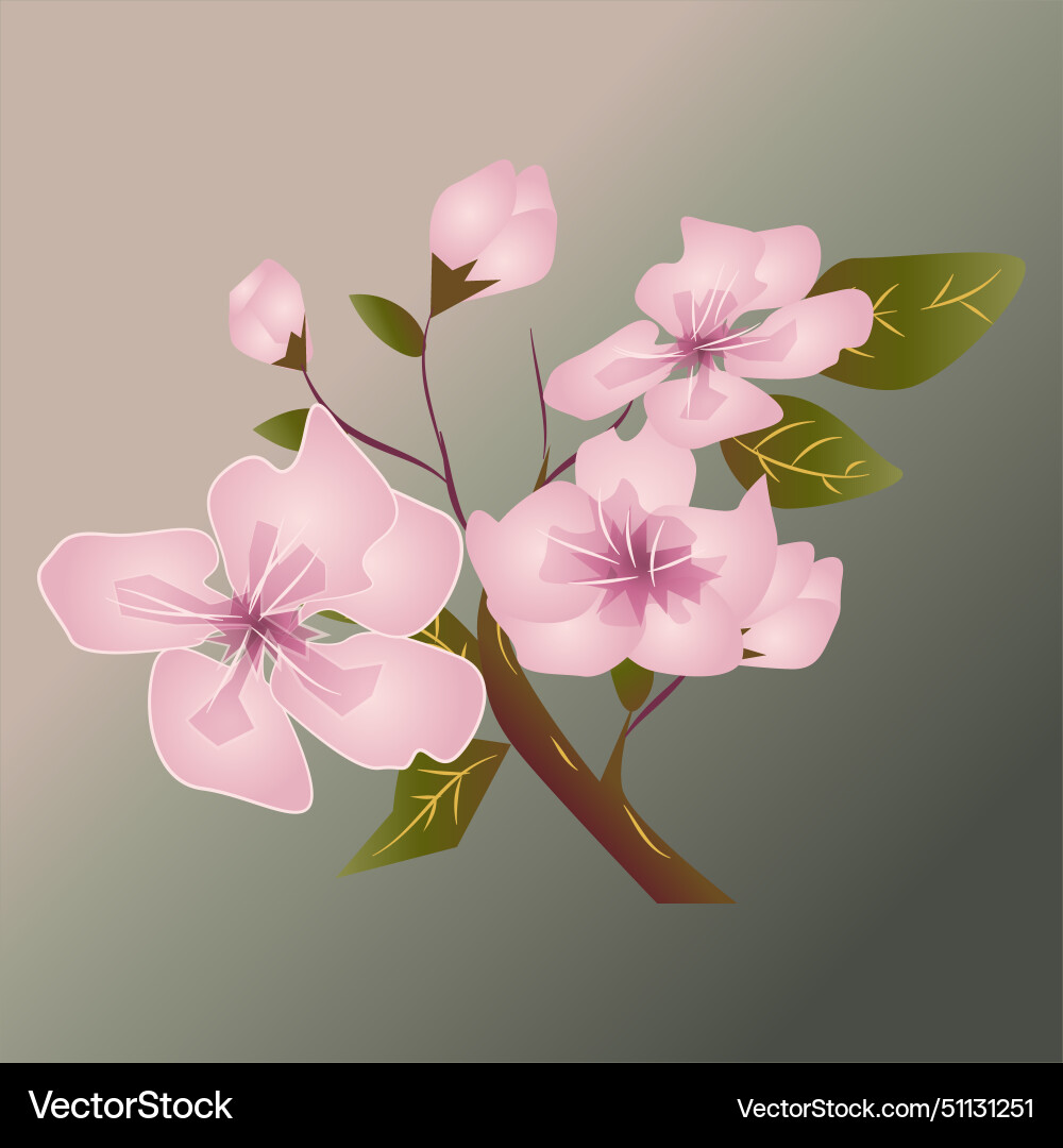 Pink cherry blossom flower Royalty Free Vector Image