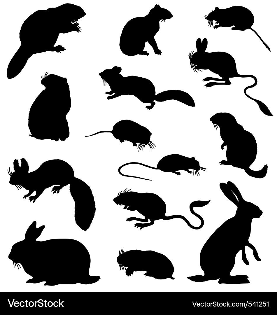 Bunny Tail Silhouette Vector Images (over 610)