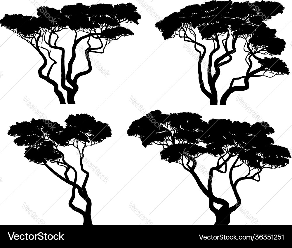 Set silhouettes african acacia trees Royalty Free Vector