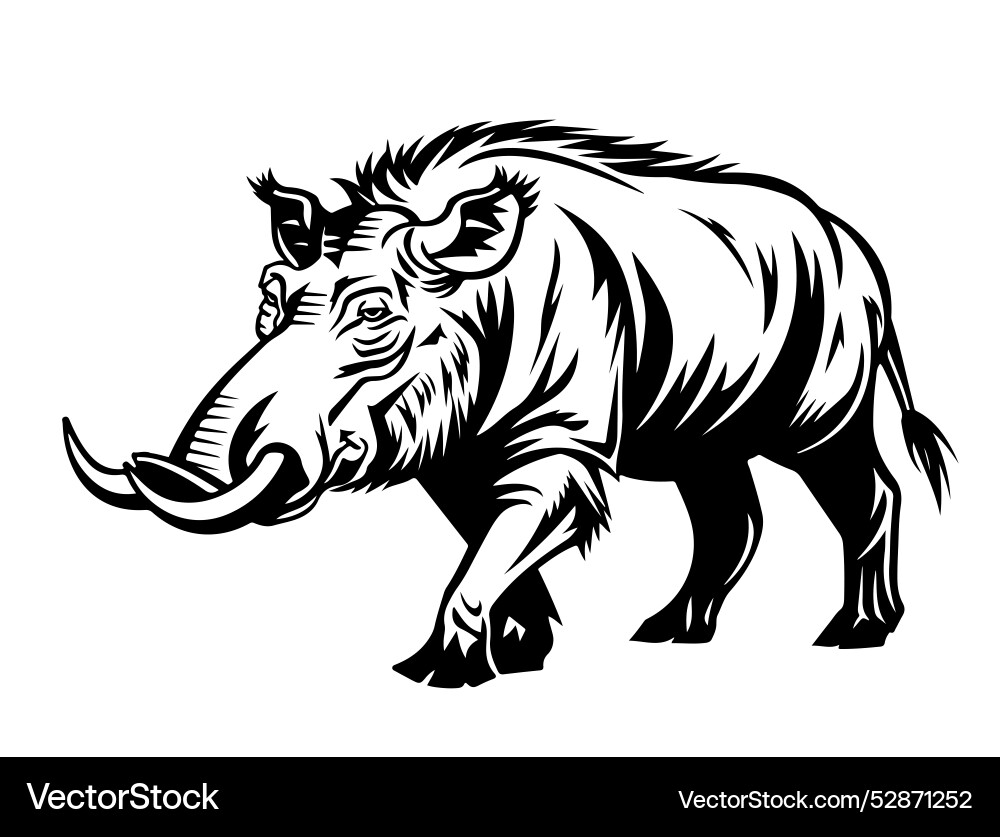 Warthog drawing engraving ink line art Royalty Free Vector