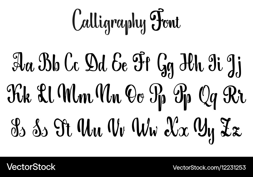 Alphabet calligraphic font unique custom Vector Image