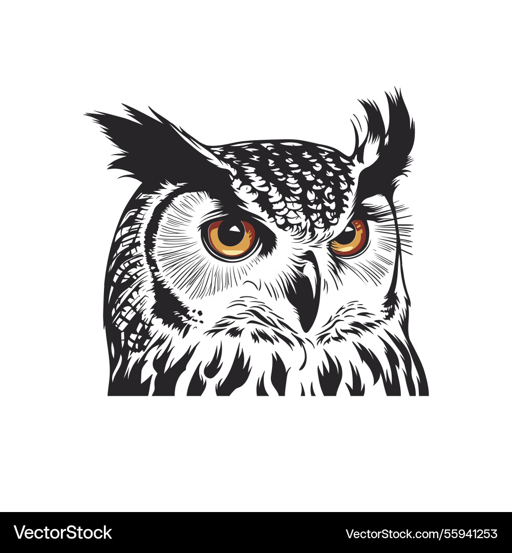 An owls head emphasizing themes of wisdom Vector Image